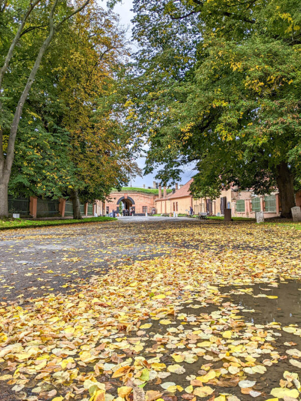 Terezín Concentration Camp from Prague: How to Get There & What to See