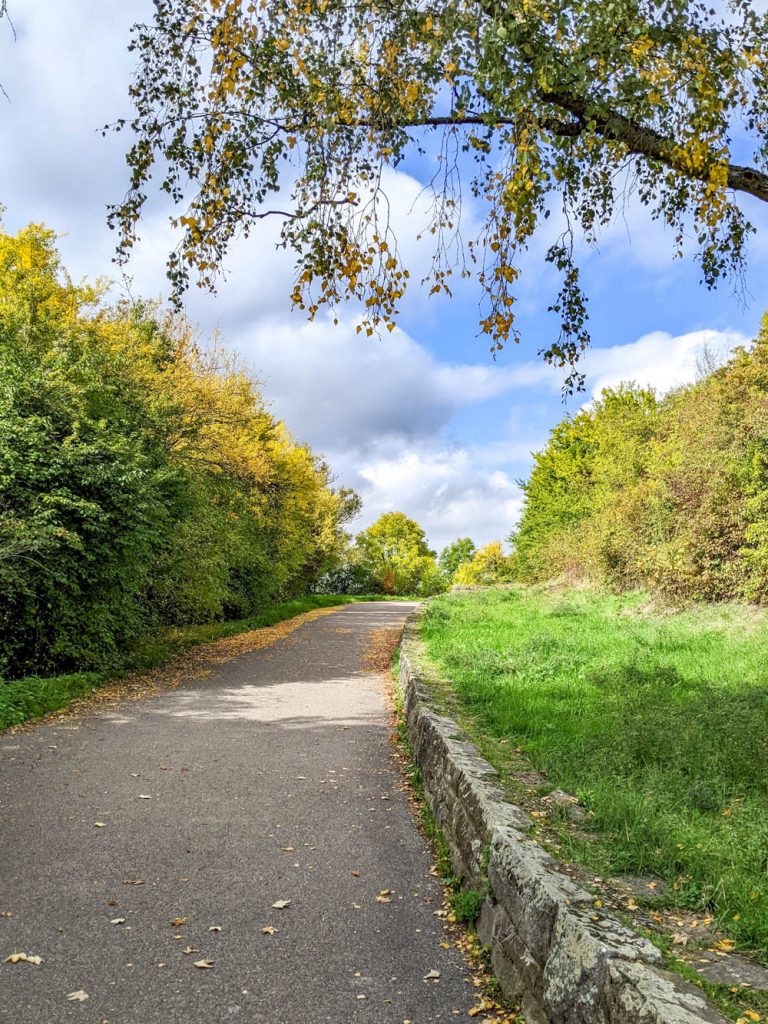How to Visit Birkenkopf Stuttgart (Monte Scherbelino): WWII’s Rubble Hill