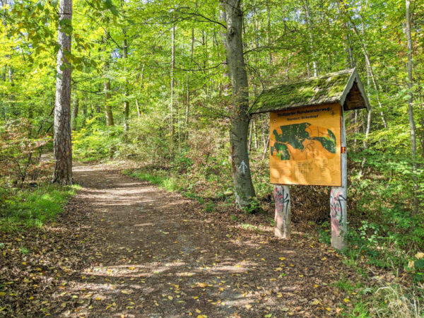 How to Visit Birkenkopf Stuttgart (Monte Scherbelino): WWII’s Rubble Hill