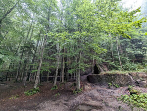 The Truth About Visiting Hitler's Eagle's Nest: What You Need to Know ...