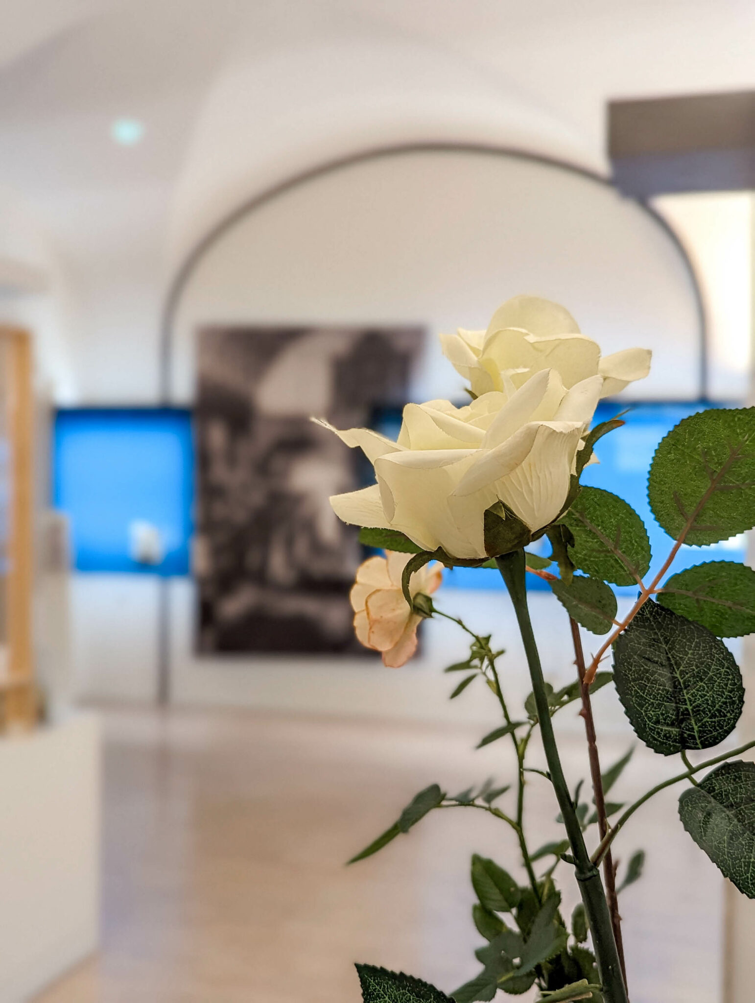 The White Rose Movement: 13+ Great Memorial Sites to Visit in Germany