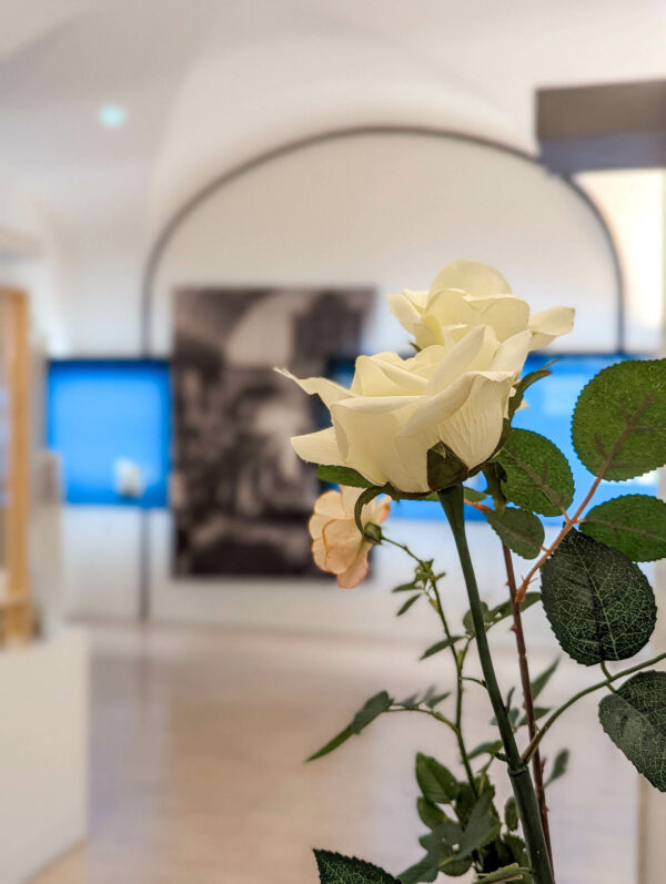 The White Rose Movement: 13+ Great Memorial Sites to Visit in Germany