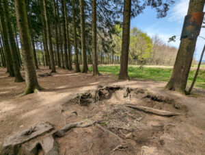 WWII sites in Bastogne, Belgium: 20 Best Museums & Memorials