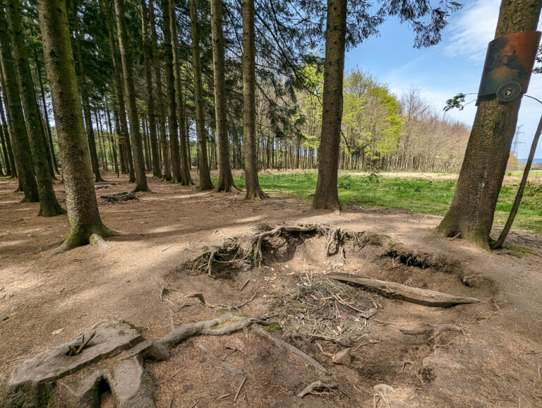 WWII sites in Bastogne, Belgium: 20 Best Museums & Memorials