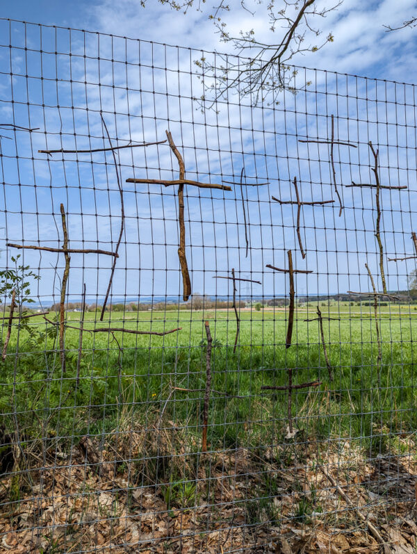 WWII sites in Bastogne, Belgium: 20 Best Museums & Memorials