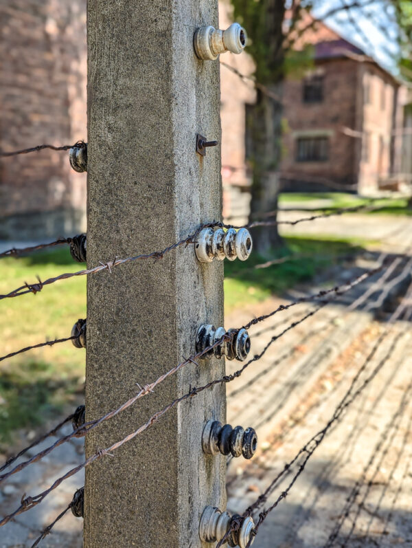 Essential Guide to Visiting Auschwitz-Birkenau: What You Need to Know