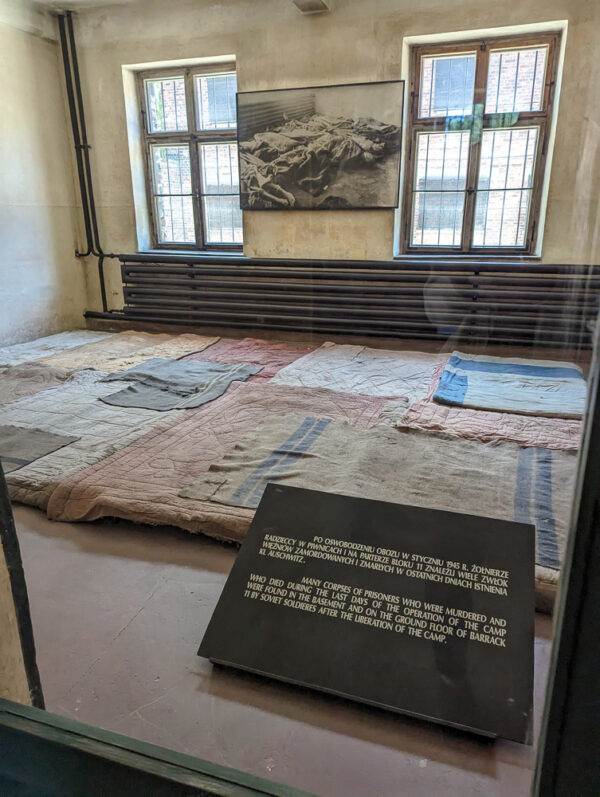 Essential Guide to Visiting Auschwitz-Birkenau: What You Need to Know