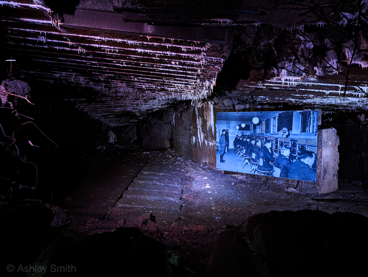 The Truth About Visiting Hitler's Wolf's Lair: All You Need to Know