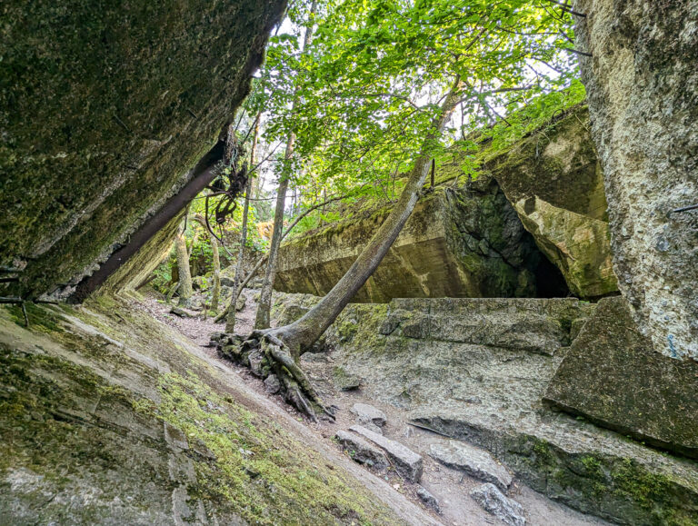 The Truth About Visiting Hitler's Wolf's Lair: All You Need to Know