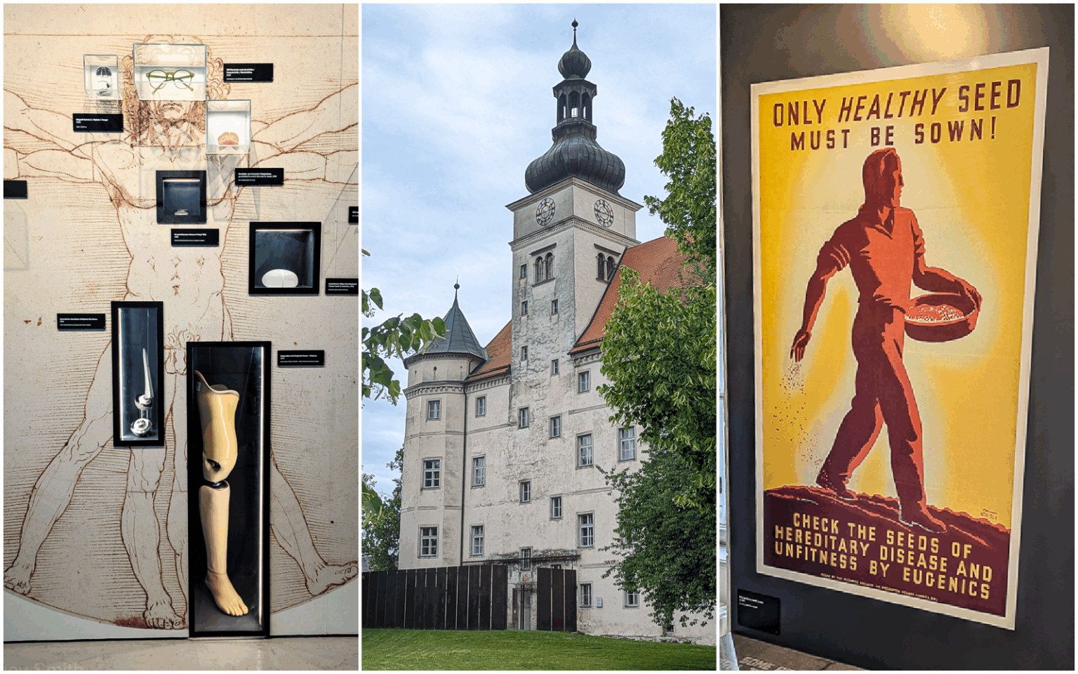 Quick Guide to Visiting Hartheim Castle: The Nazi T4 Killing Center